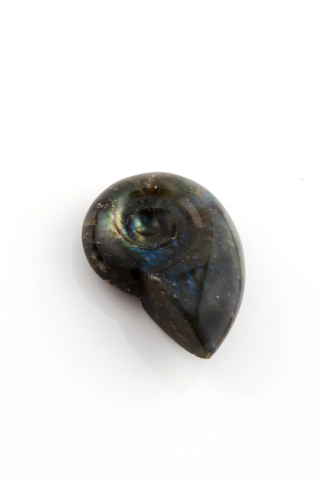 Ammonite Shaped Labradorite – Silver Eagle Gallery