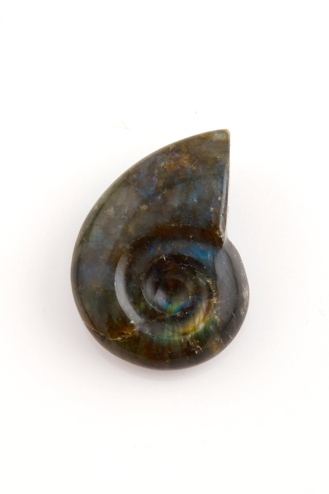 Ammonite Shaped Labradorite – Silver Eagle Gallery