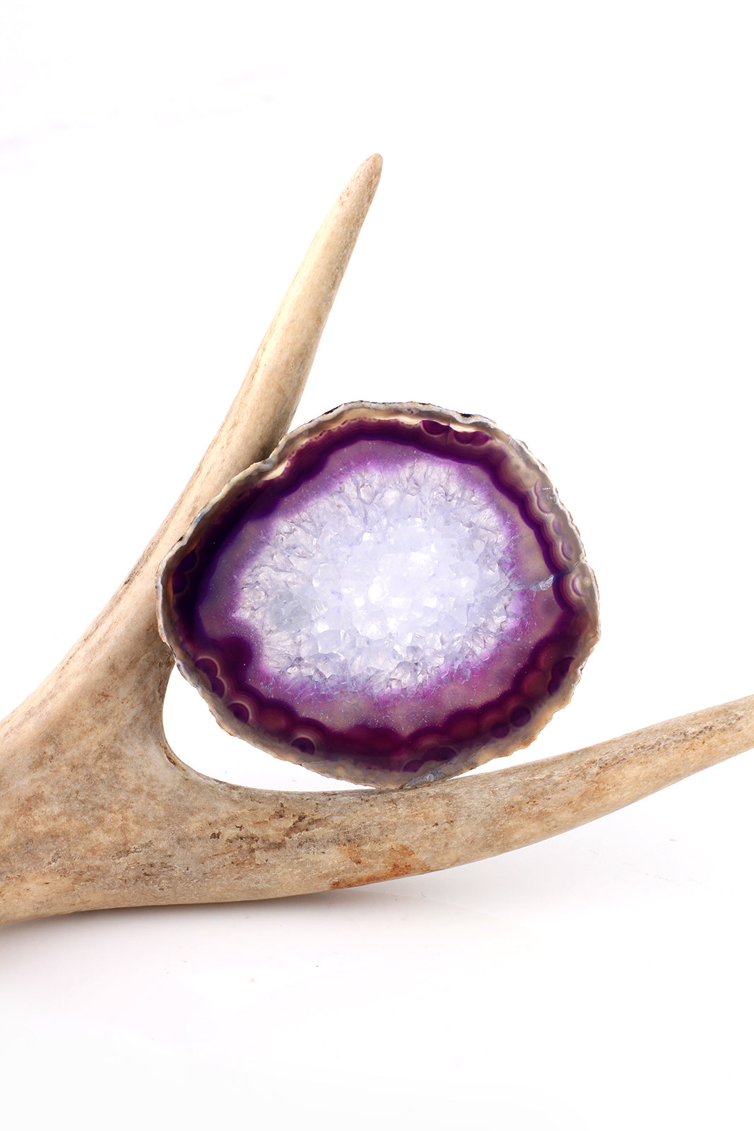 Purple Agate Slice – Silver Eagle Gallery